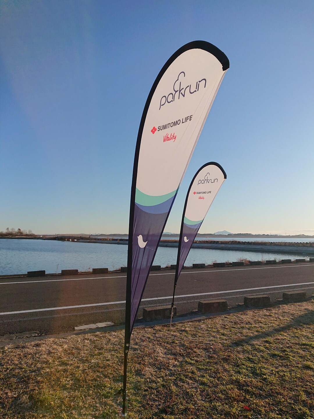 大晦日☀️ 走り納めに「渡良瀬遊水地 p... / nanakoさんのモーメント | YAMAP / ヤマップ