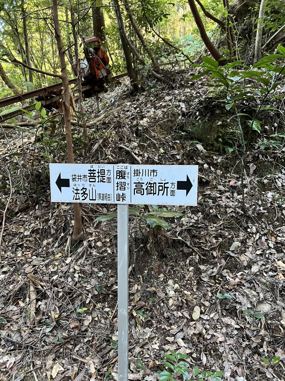 小笠山〜腹摺峠経由で周回 / sigeさんの小笠山の活動データ | YAMAP / ヤマップ