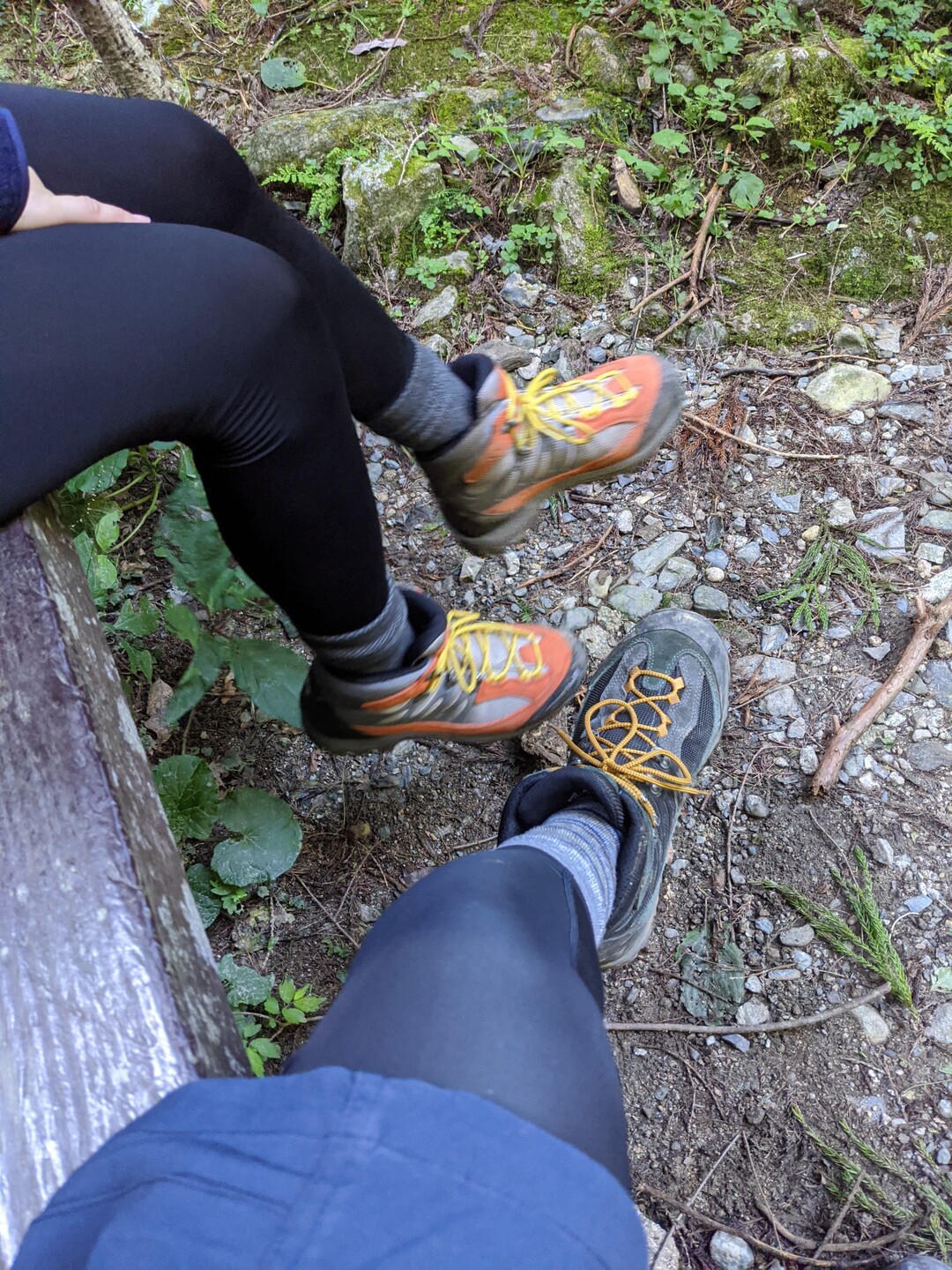 次の山はどこにしようかなー / テコさんのモーメント | YAMAP / ヤマップ