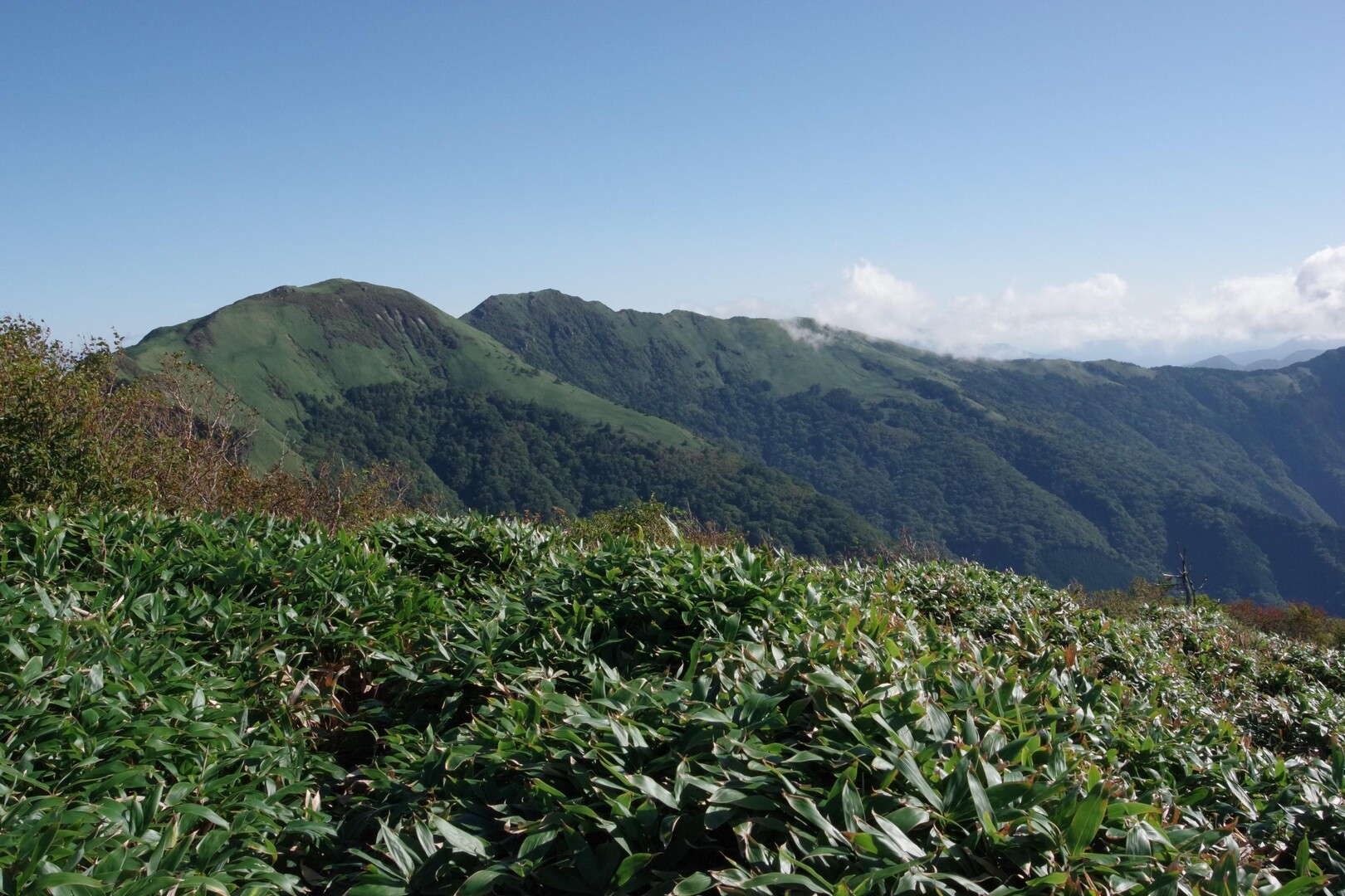 寒風山～笹ヶ峰往復 体力確認トレ / でこぼこMamoさんの笹ヶ峰・寒風山・平家平の活動日記 | YAMAP / ヤマップ