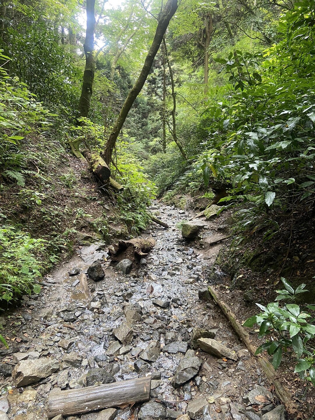 紅葉前の高尾山と温泉 / ari papaさんの高尾山・陣馬山・景信山の活動データ | YAMAP / ヤマップ