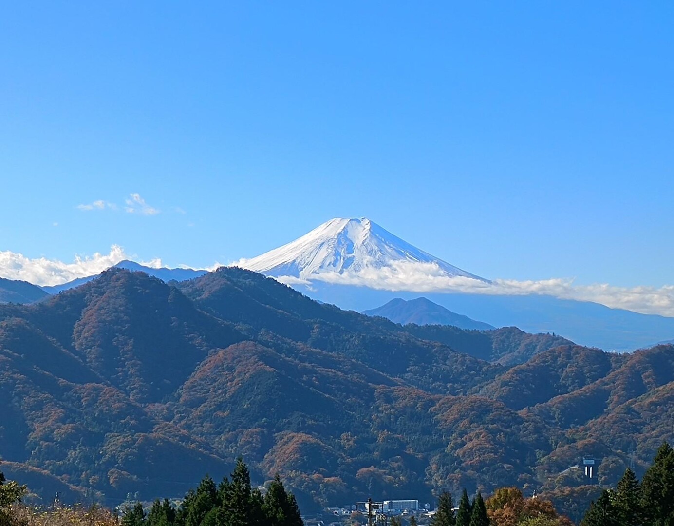 百蔵山と猿橋 / nao.okさんの百蔵山・扇山・権現山の活動データ | YAMAP / ヤマップ