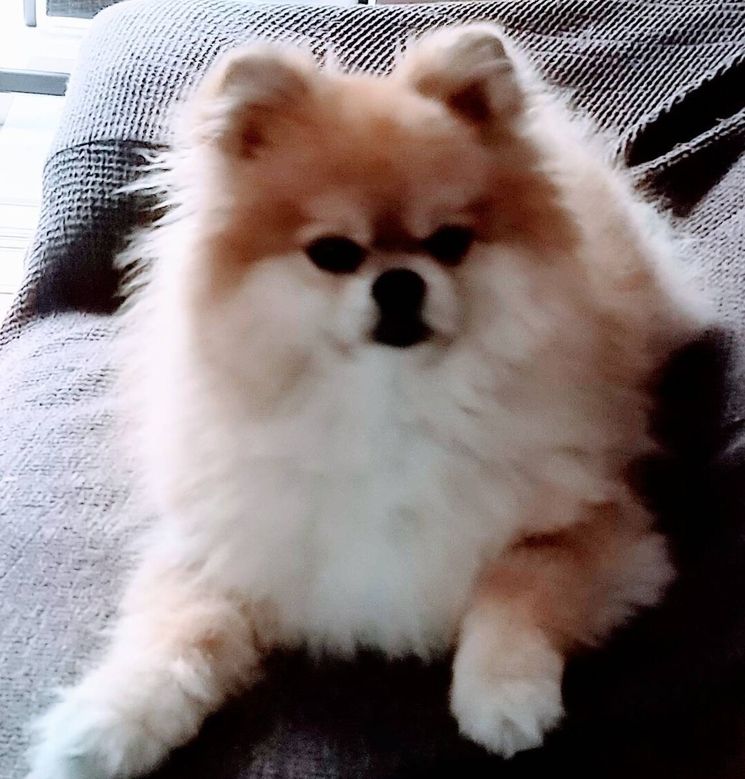 ゆきのページ | YAMAP / ヤマップ