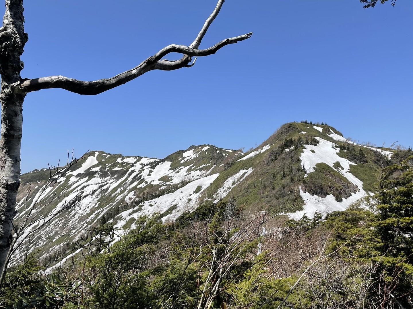 武尊山〜川場野営場から / panchanさんの武尊山・鹿俣山・尼ヶ禿山の活動データ | YAMAP / ヤマップ