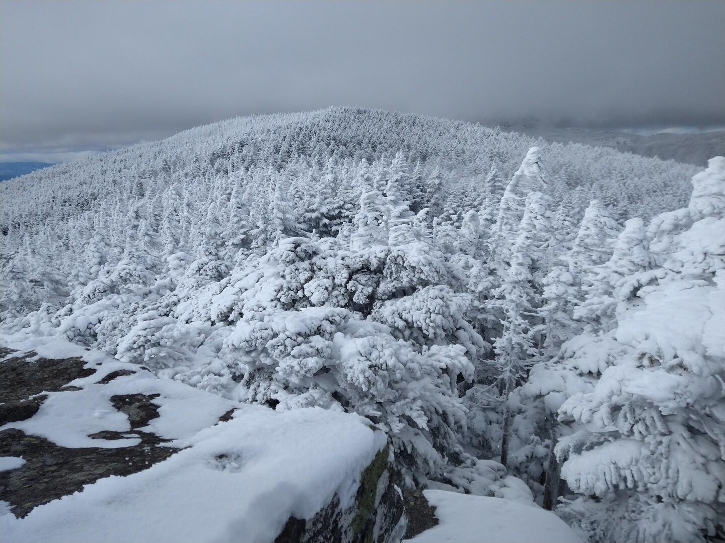 2023最期の山行、縞枯山 / muugさんの蓼科山・横岳・縞枯山の活動データ | YAMAP / ヤマップ