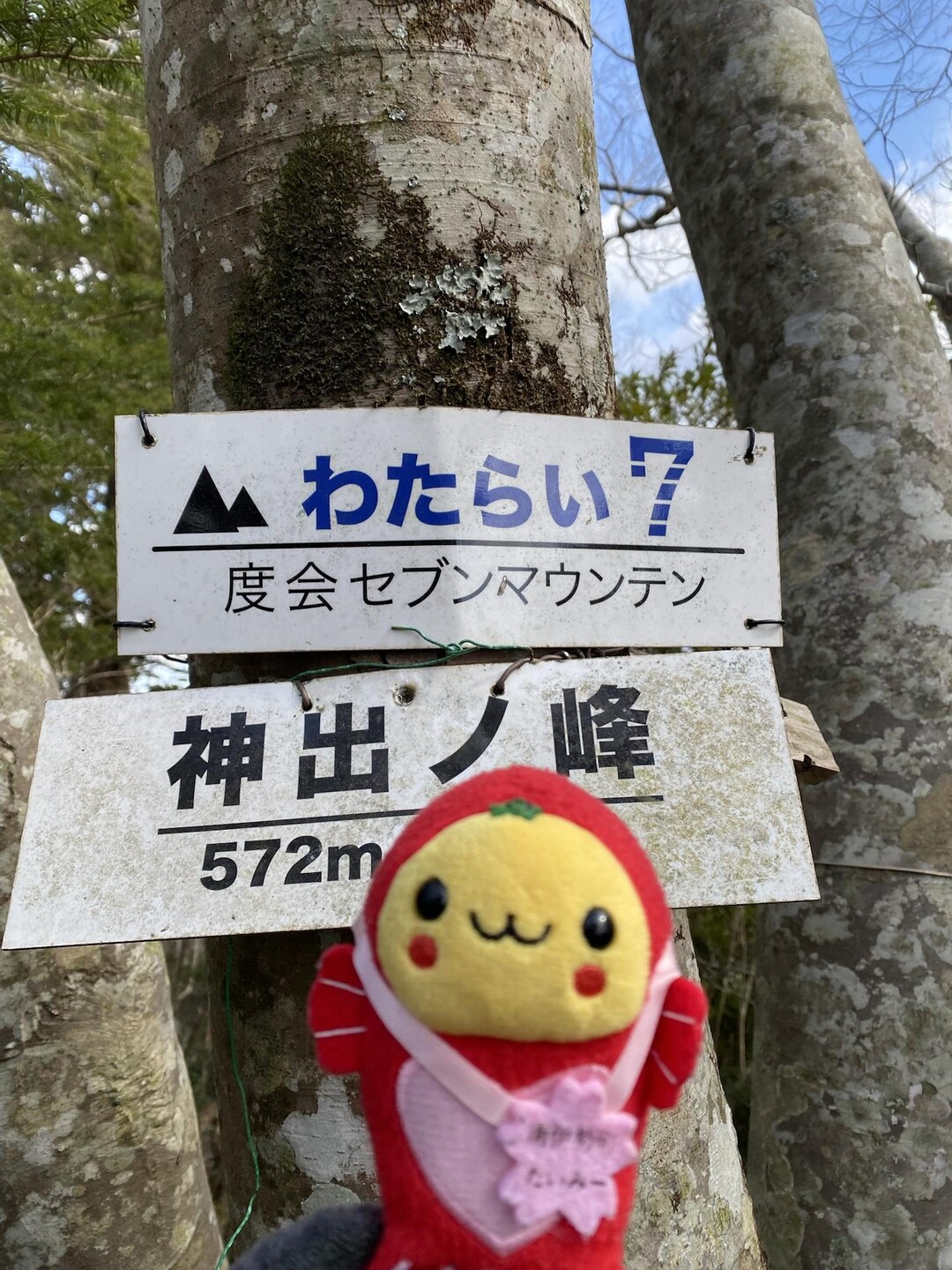 度会7の神出ノ峰へ / chiiiyanさんの神出ノ峰の活動日記 | YAMAP / ヤマップ