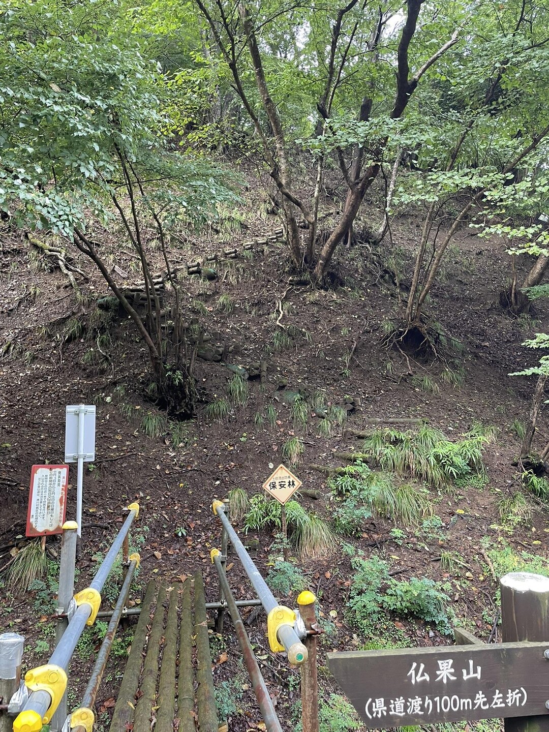 辺室山・三峰山(大山三峰山)・七沢山・鐘ヶ嶽 / ytさんの大山の活動データ | YAMAP / ヤマップ