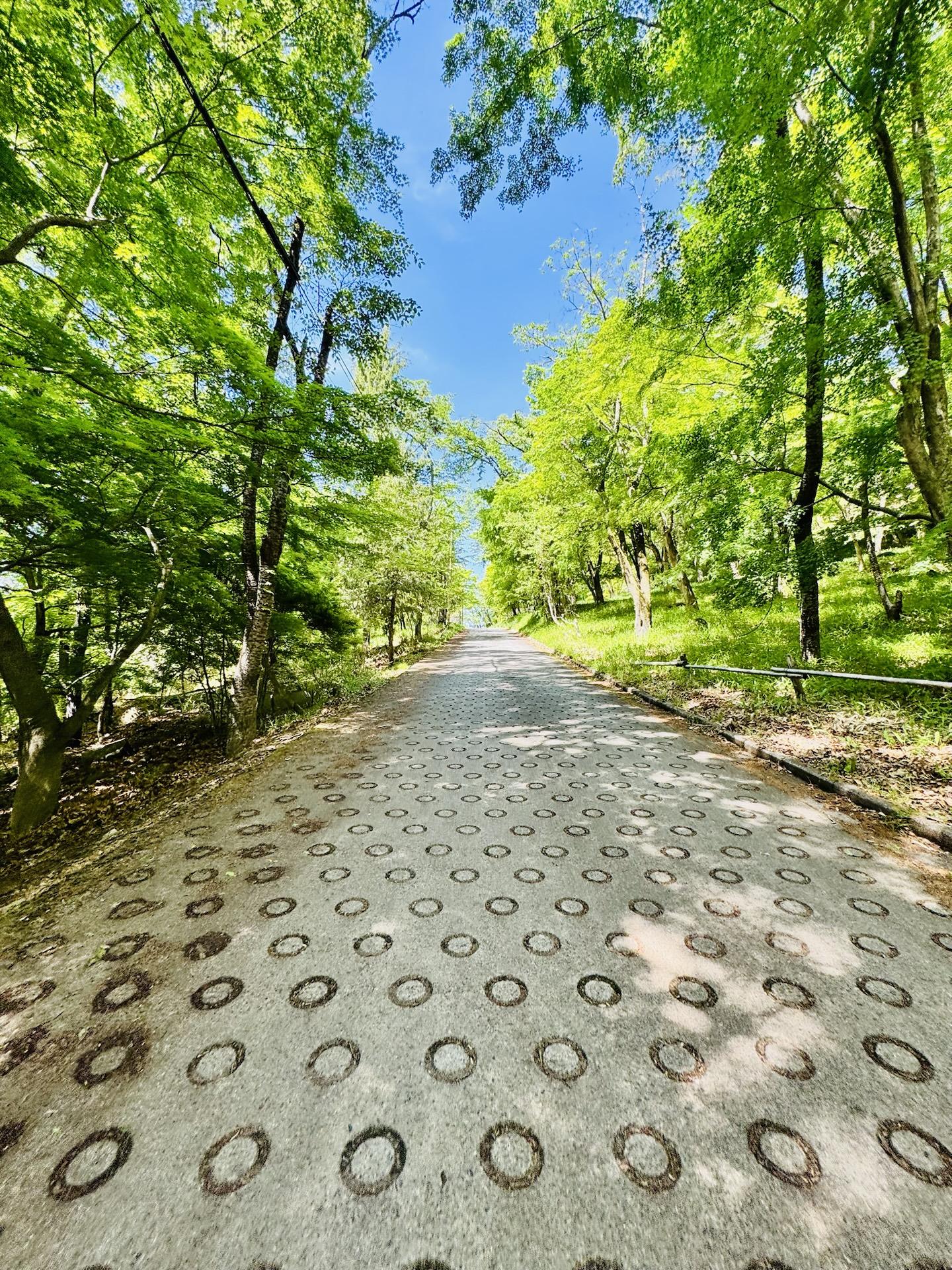 【甲府名山】片山 / amuさんの興因寺山・淡雪山・八王子山の活動データ | YAMAP / ヤマップ