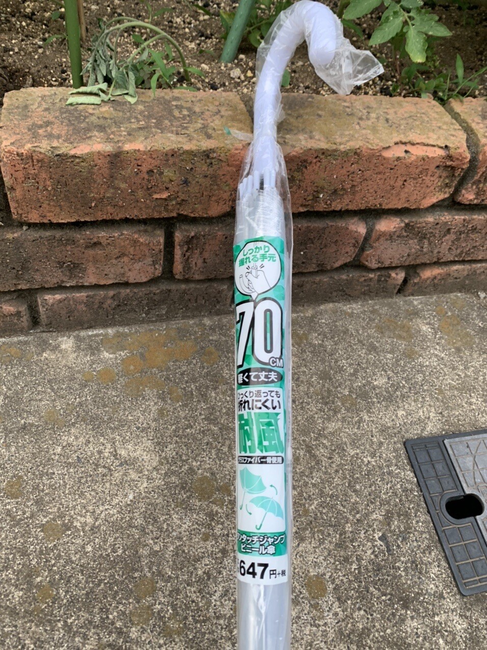 ファミマ傘、コスパ最高じゃないでしょうか... / Shinoさんのモーメント | YAMAP / ヤマップ