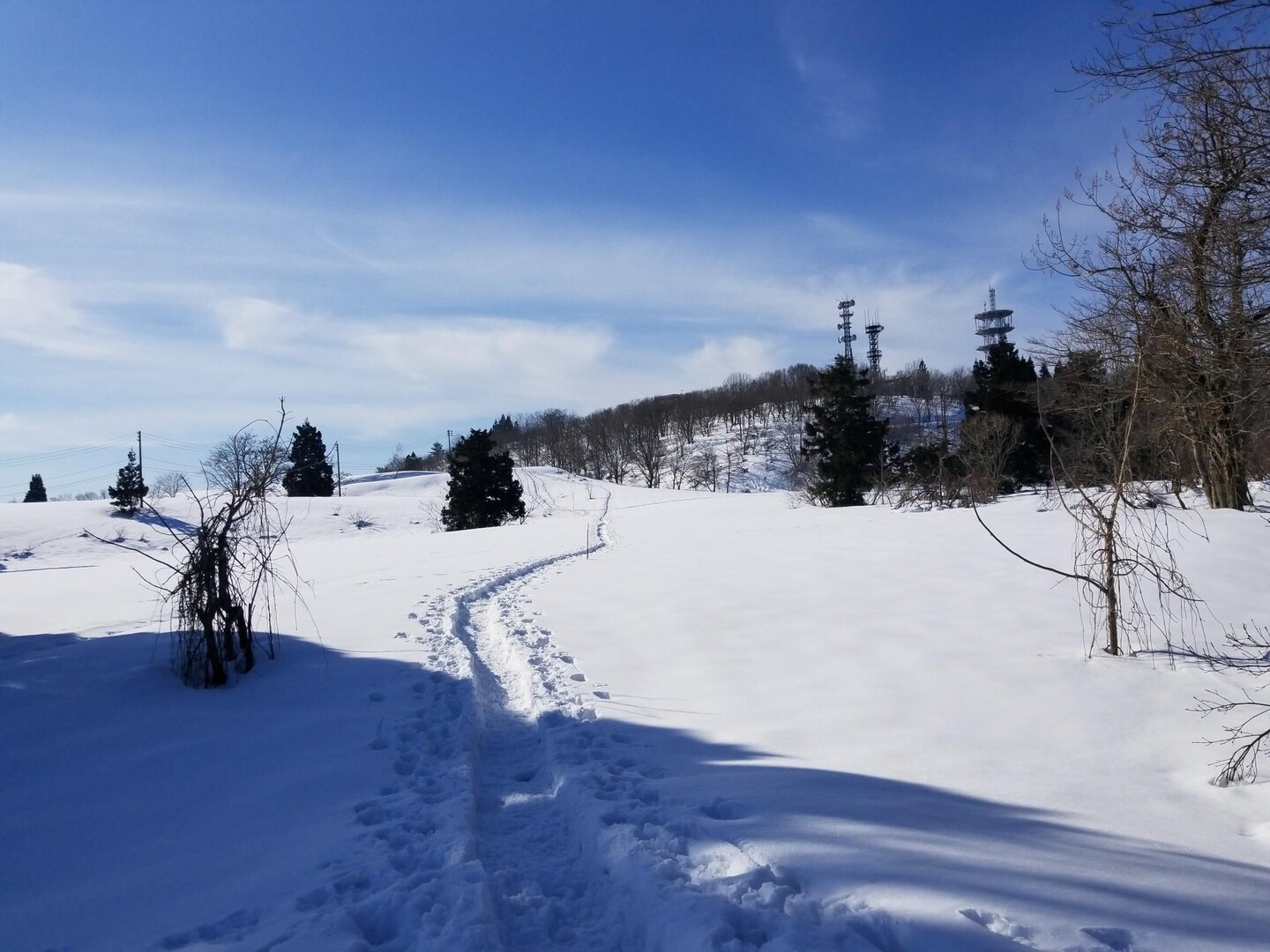 晴れの山本山 / ta-さんの時水城山・丸山の活動データ | YAMAP / ヤマップ