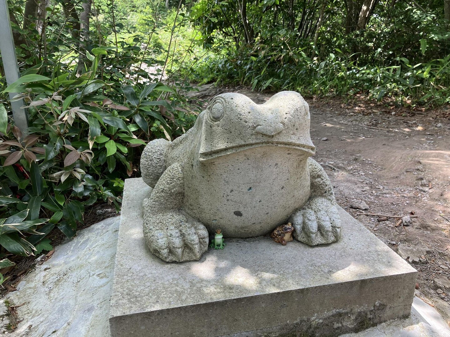 鞍掛山 中ノ谷ｺｰｽ（ちょっと上級者ｺｰｽかな・・） / sono_01さんの鞍掛山・後山・三童子山の活動データ | YAMAP / ヤマップ
