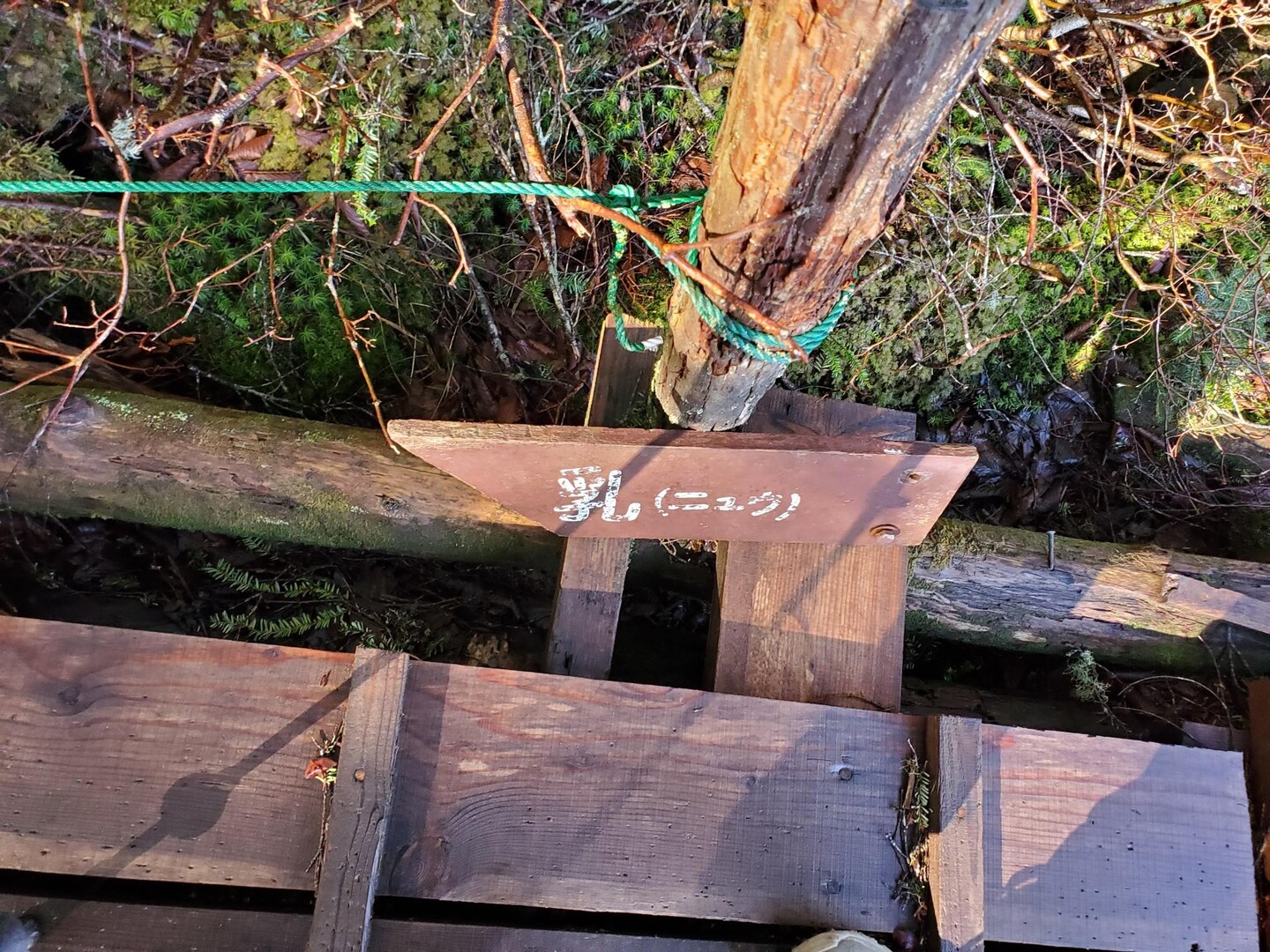 ニュウ / K1さんの八ヶ岳（赤岳・硫黄岳・天狗岳）の活動データ | YAMAP / ヤマップ