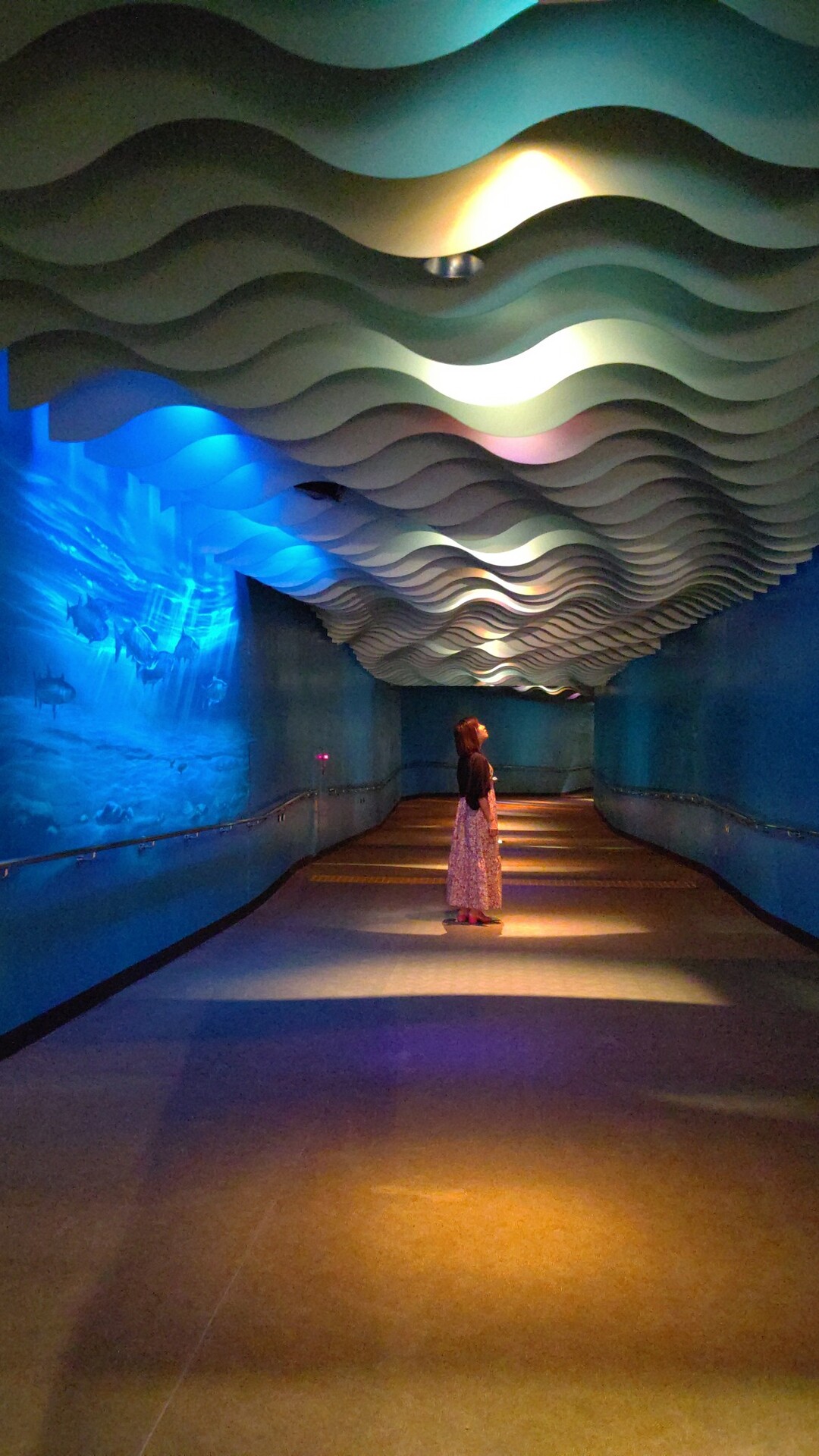 2020〜in夏 海・ものがたり *。... / sarryさんのモーメント | YAMAP / ヤマップ