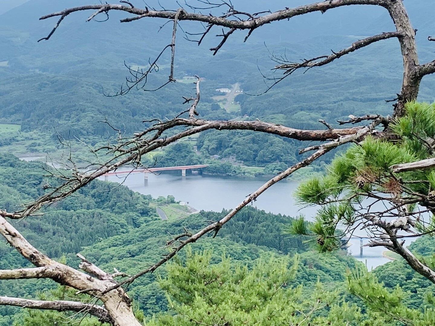 松倉山・撫倉山・大倉山・蜂倉山・鎌倉山・遂倉山・笹倉山(大森) / cinnamonさんの七ツ森の活動データ | YAMAP / ヤマップ