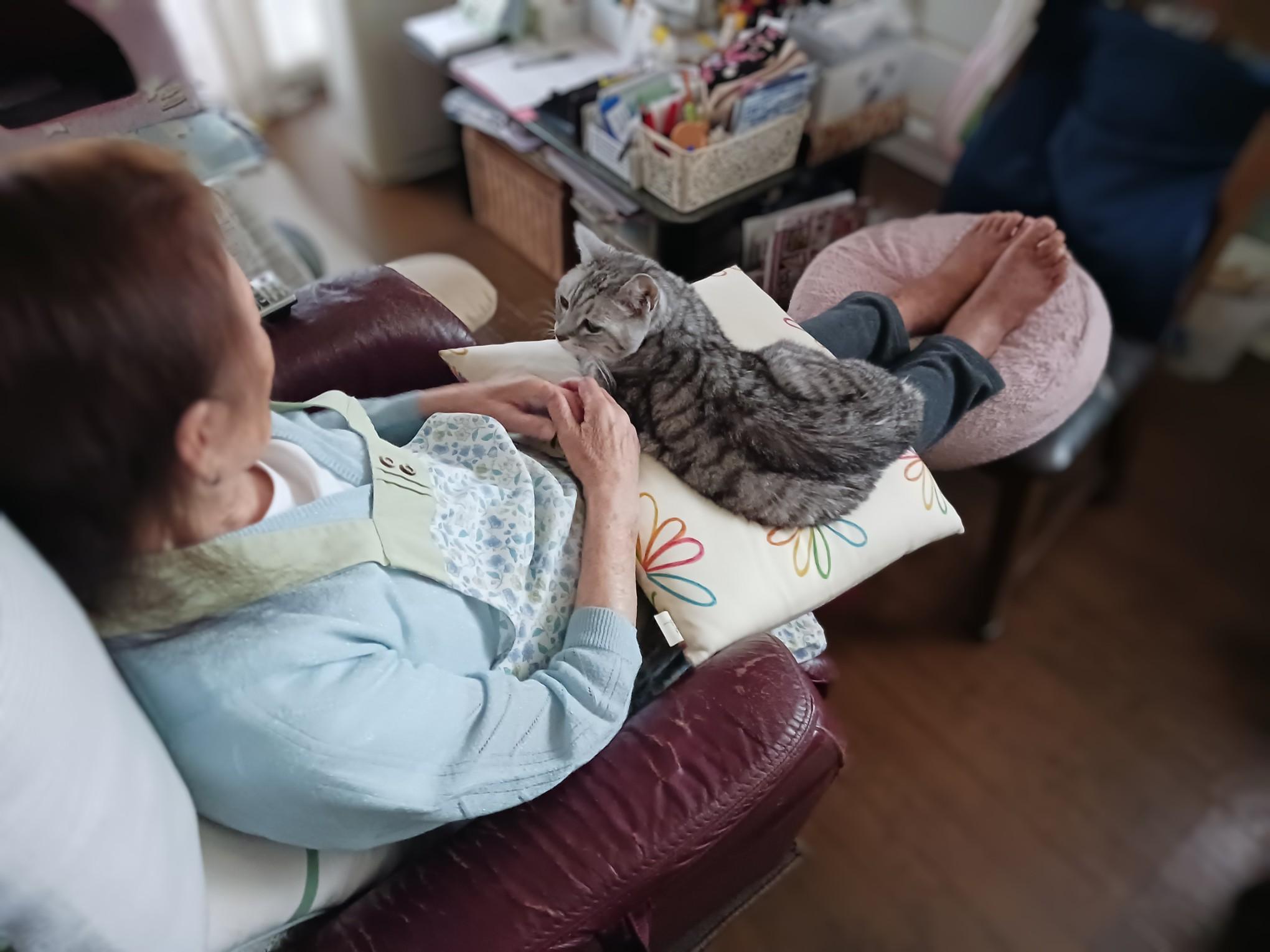 おじいにゃん👴😺は、hiroさんより... / hiroさんのモーメント | YAMAP / ヤマップ