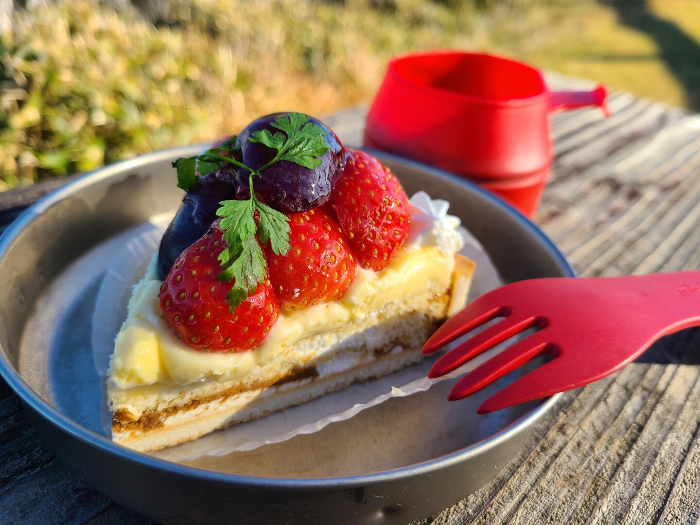 四国百名山ラスト・梶ヶ森（100/100） / jnkさんの梶ヶ森の活動データ | YAMAP / ヤマップ