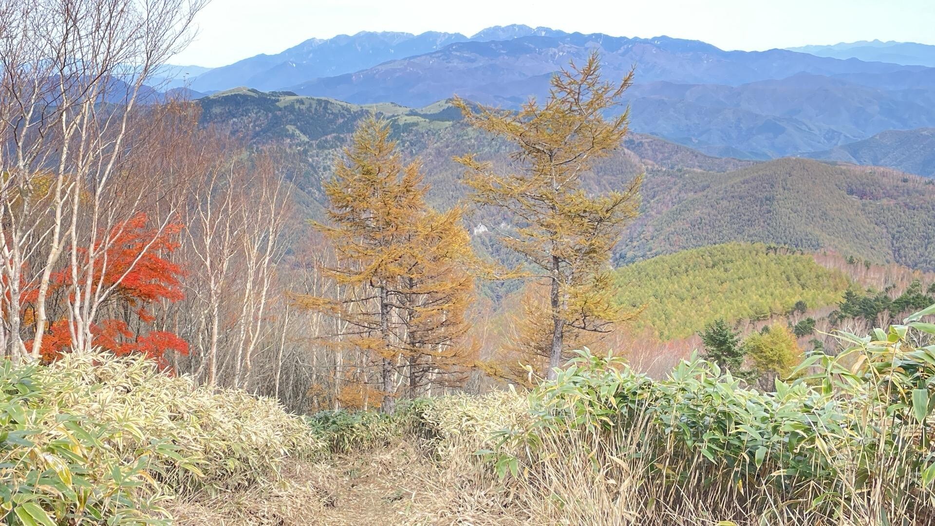 紅葉の恵那山🍁 / IKUKOさんの恵那山・大判山・神坂山の活動日記 | YAMAP / ヤマップ