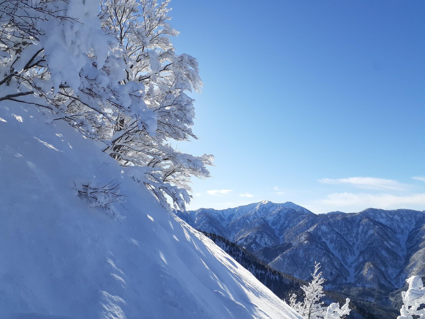 2023は取立山から / YSKさんの取立山の活動データ | YAMAP / ヤマップ