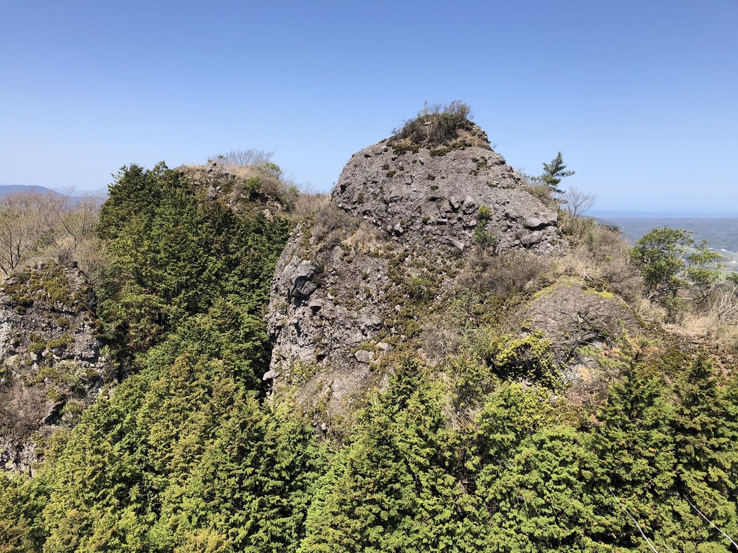 久々の田原山にオジャマ 周回するとやっ... / Coki-aさんのモーメント | YAMAP / ヤマップ