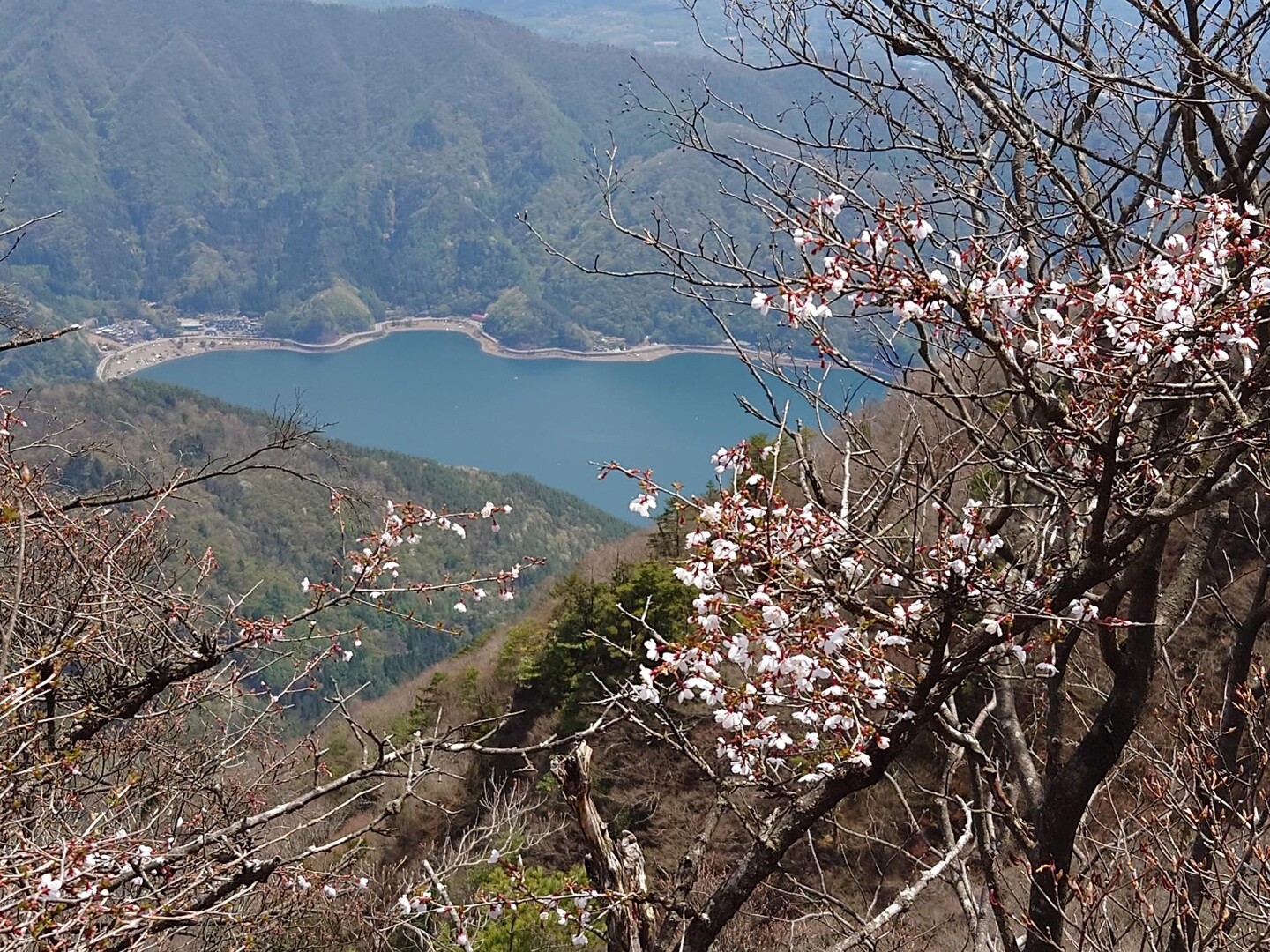 御坂縦走(御坂山…王岳) / AldenteさんのFUJISAN LONG TRAIL（御坂・三ツ峠エリア NORTH）の活動データ | YAMAP / ヤマップ