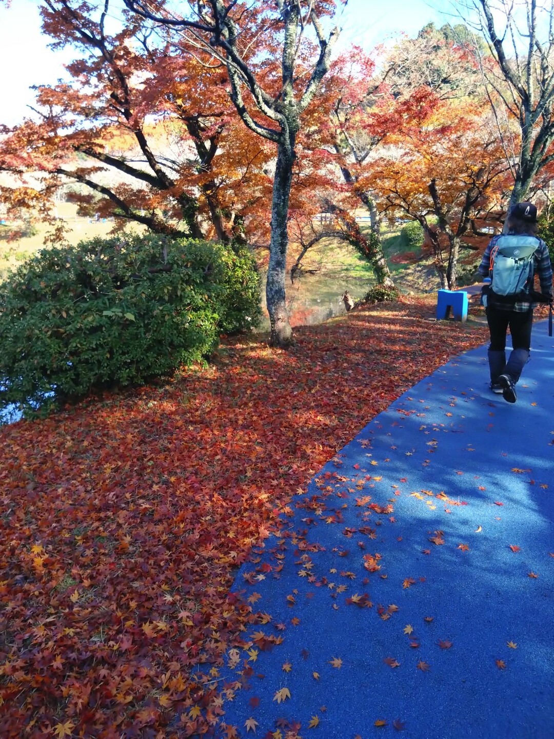 大平山・安見ヶ城山 / MAさんの大平山・安見ヶ城山の活動データ | YAMAP / ヤマップ