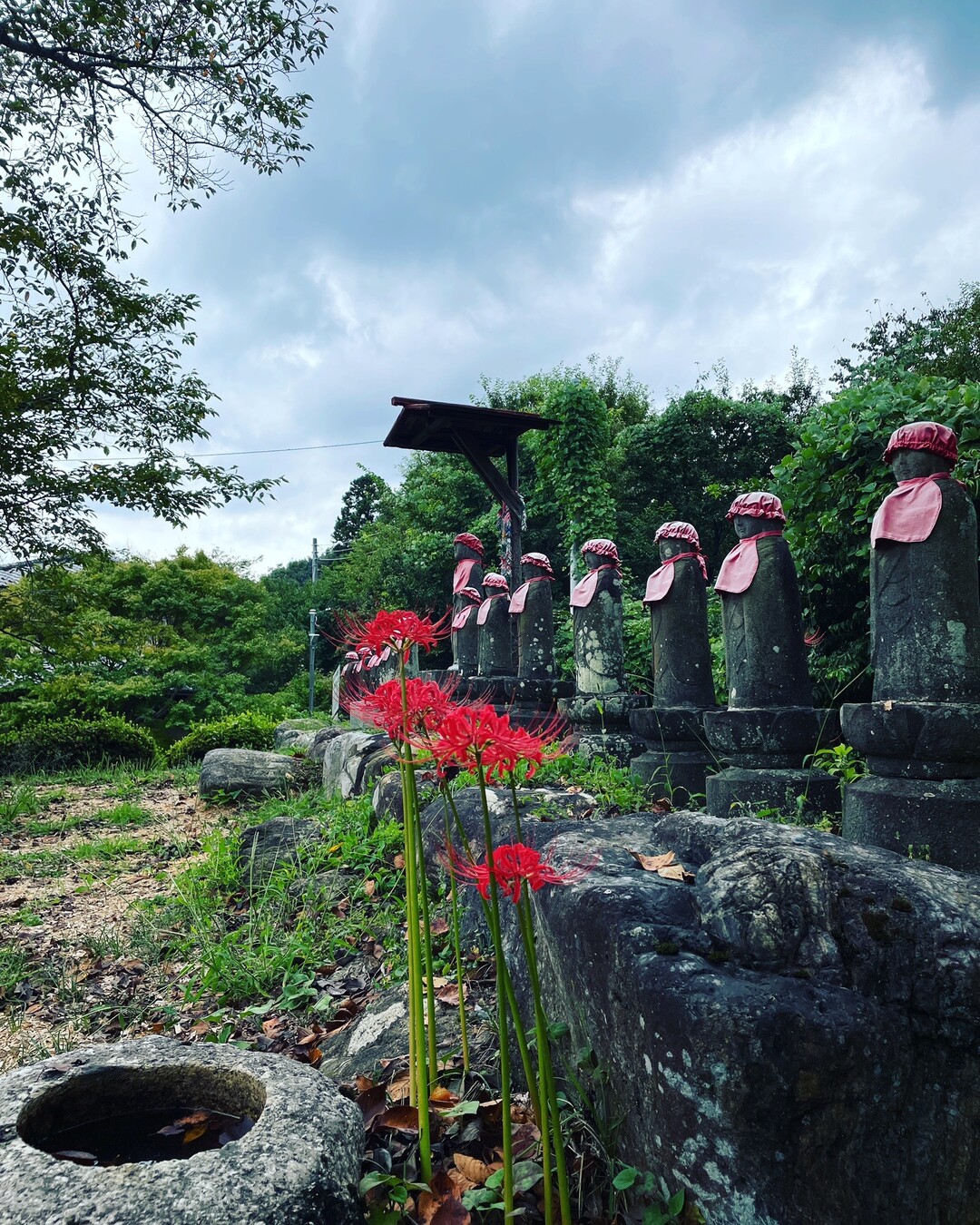 2022.09.19(月) 22:19 / りょうさんのモーメント | YAMAP / ヤマップ