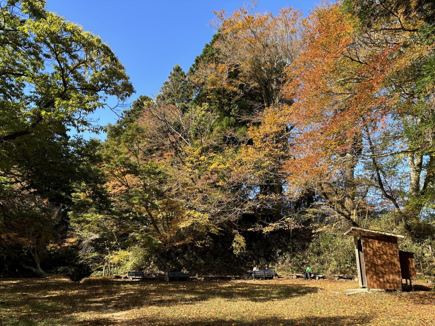 SOTOアミカス / マコさんの金剛山・二上山・大和葛城山の活動データ | YAMAP / ヤマップ
