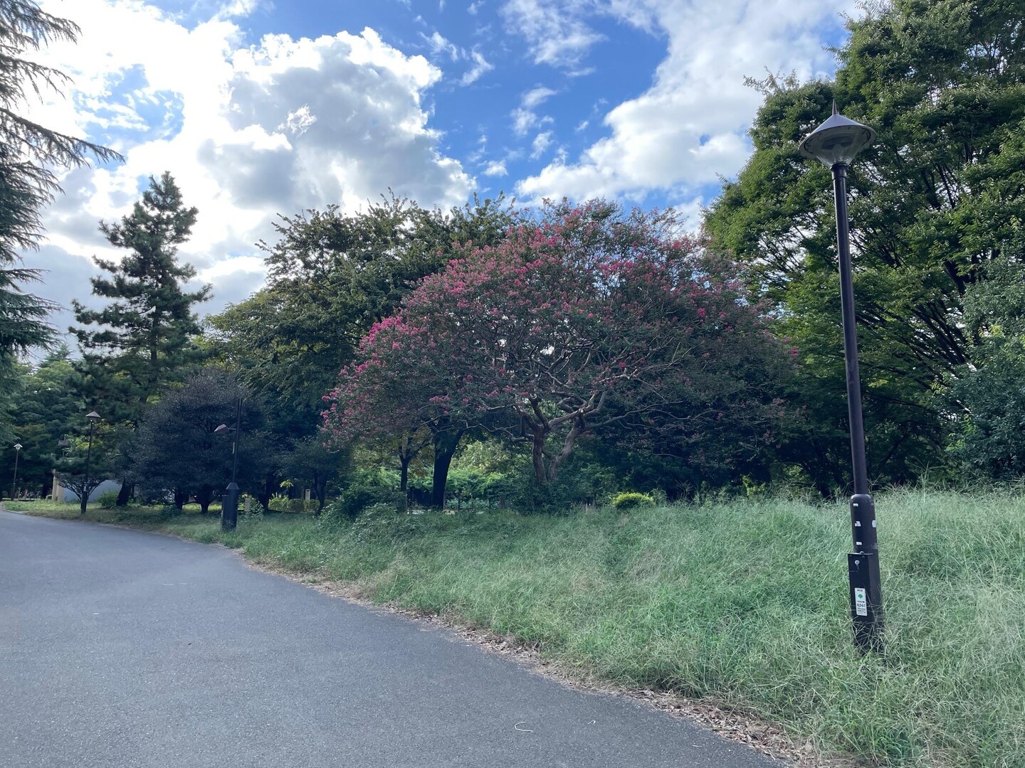 足慣らし2回目 / enoさんの東京都23区 北エリアの活動データ | YAMAP / ヤマップ