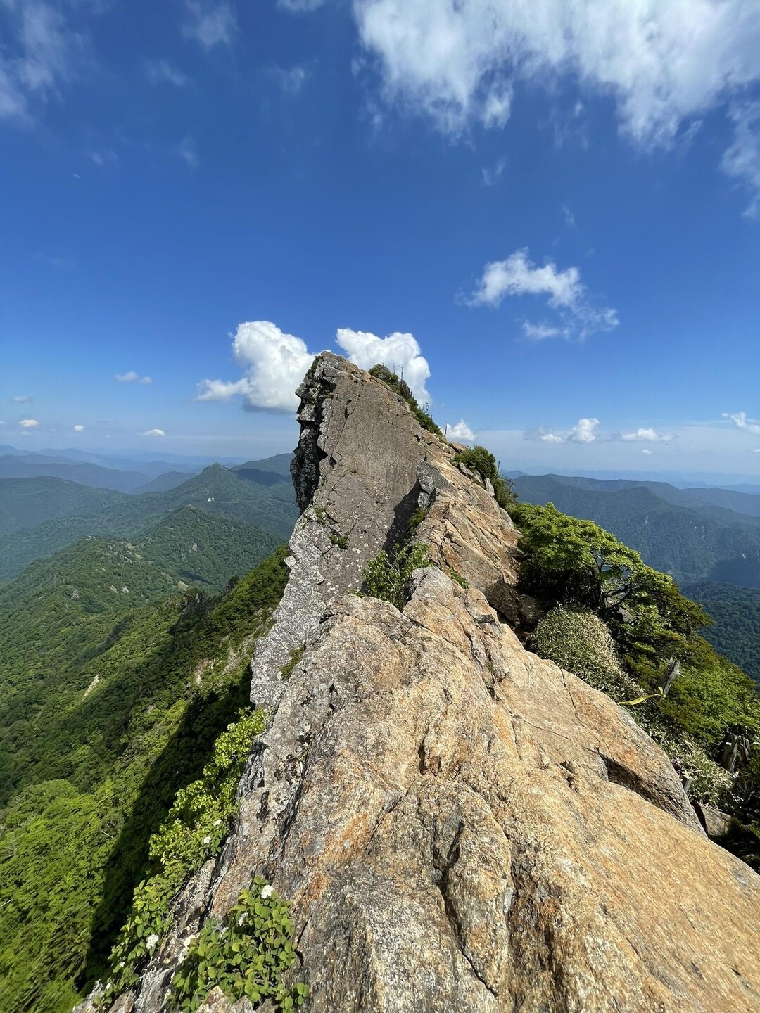 石鎚山・天狗岳 / Hirano Yoshinoriさんの石鎚山・堂ヶ森・二ノ森の活動データ | YAMAP / ヤマップ