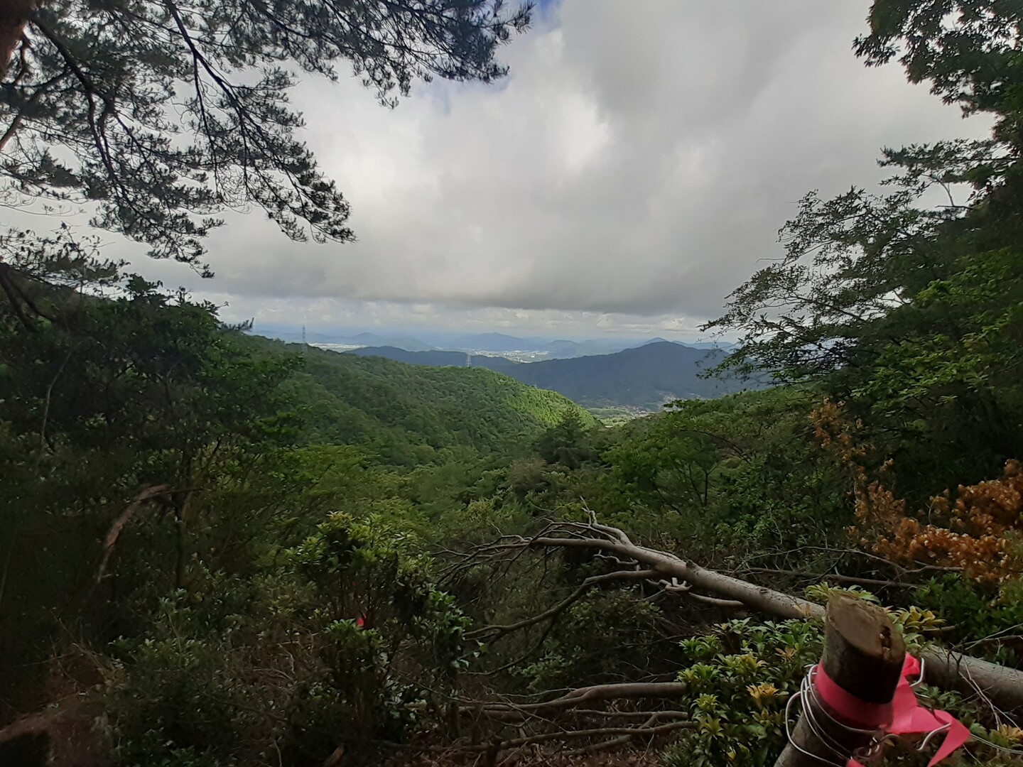 DSHさんの投稿したフィールドメモ | YAMAP / ヤマップ