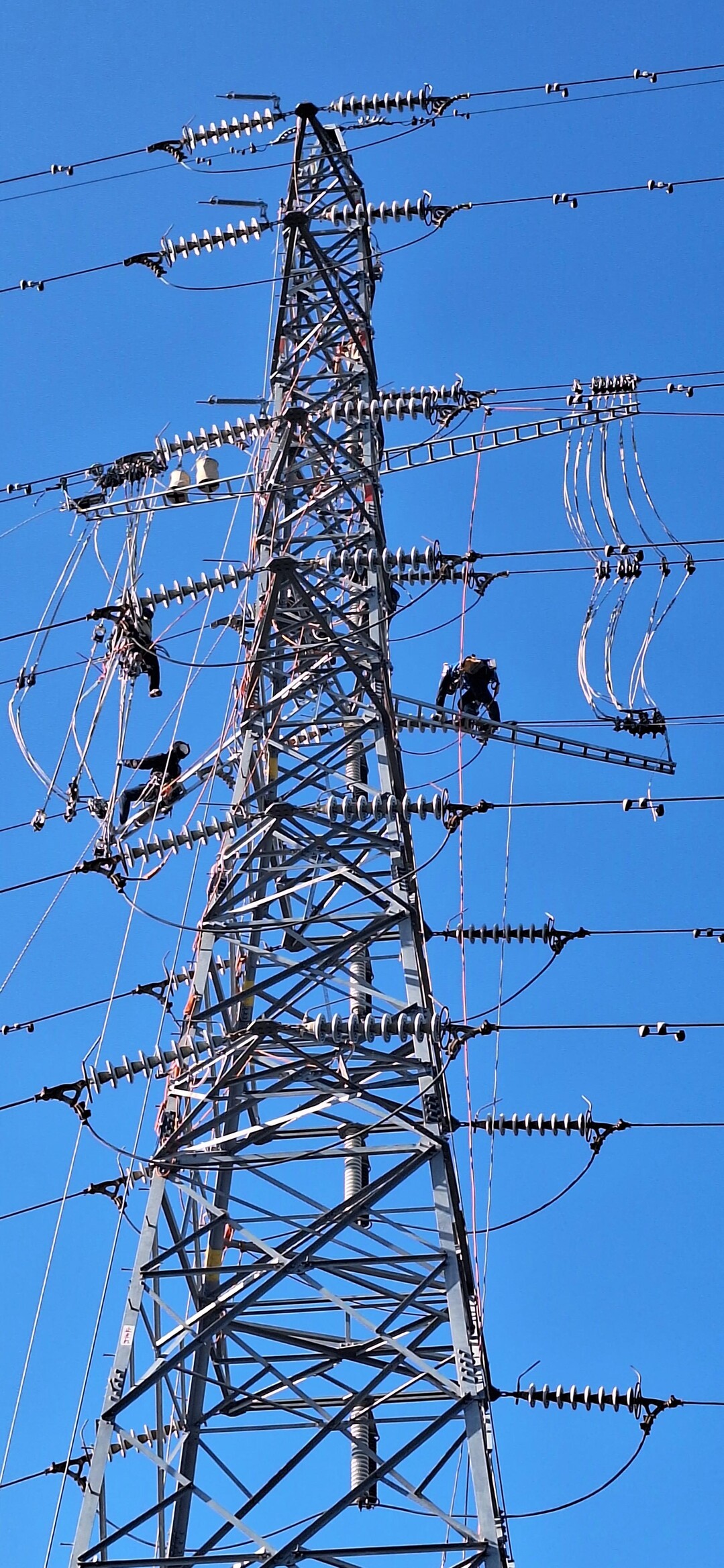 ⚠️鉄塔工事が本格的に⚠️ 雄鷹台山登... / akoh_jiさんのモーメント | YAMAP / ヤマップ
