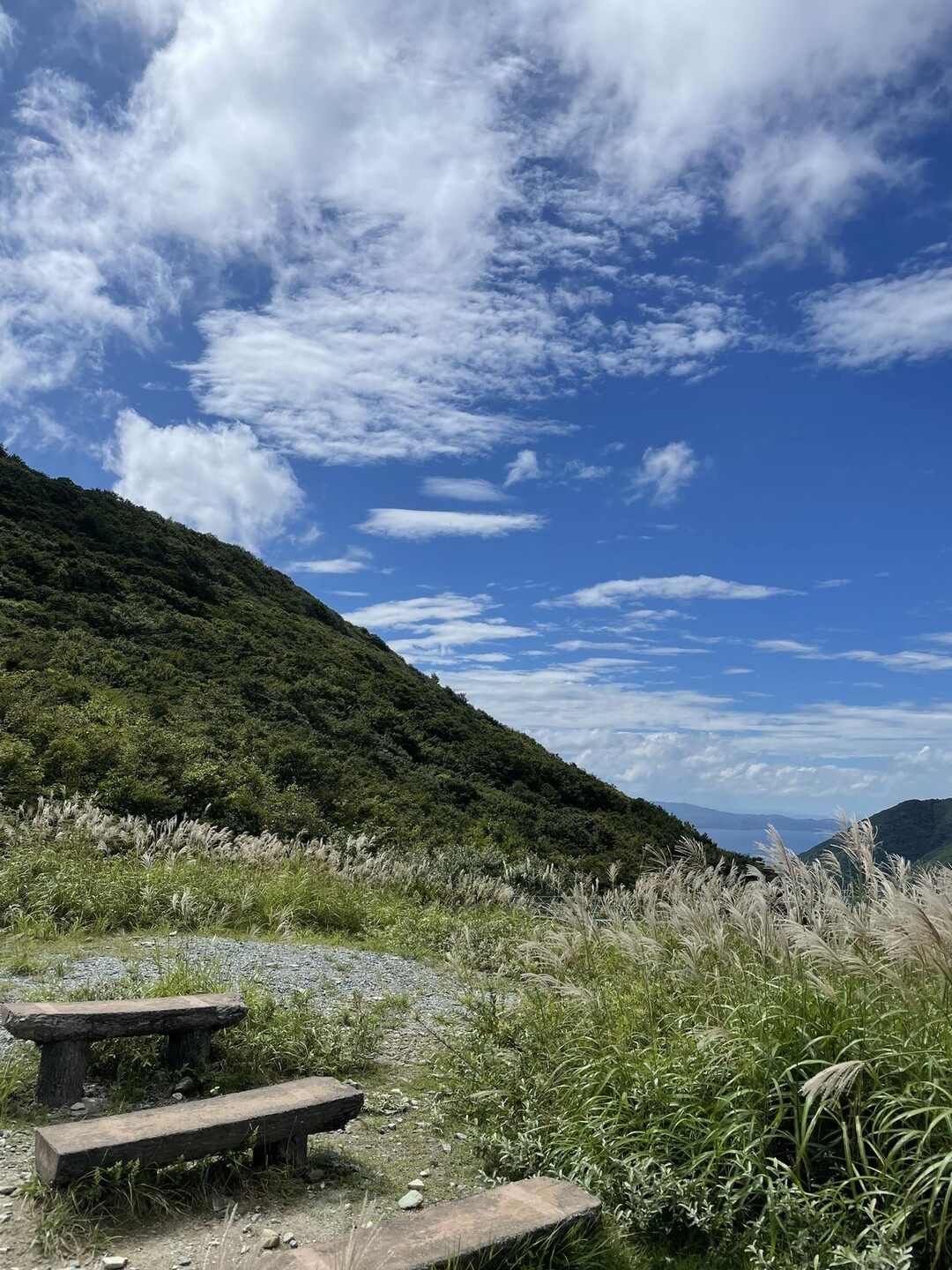 大将旗山に…。 / sammyくんさんの額取山（安積山）の活動データ | YAMAP / ヤマップ