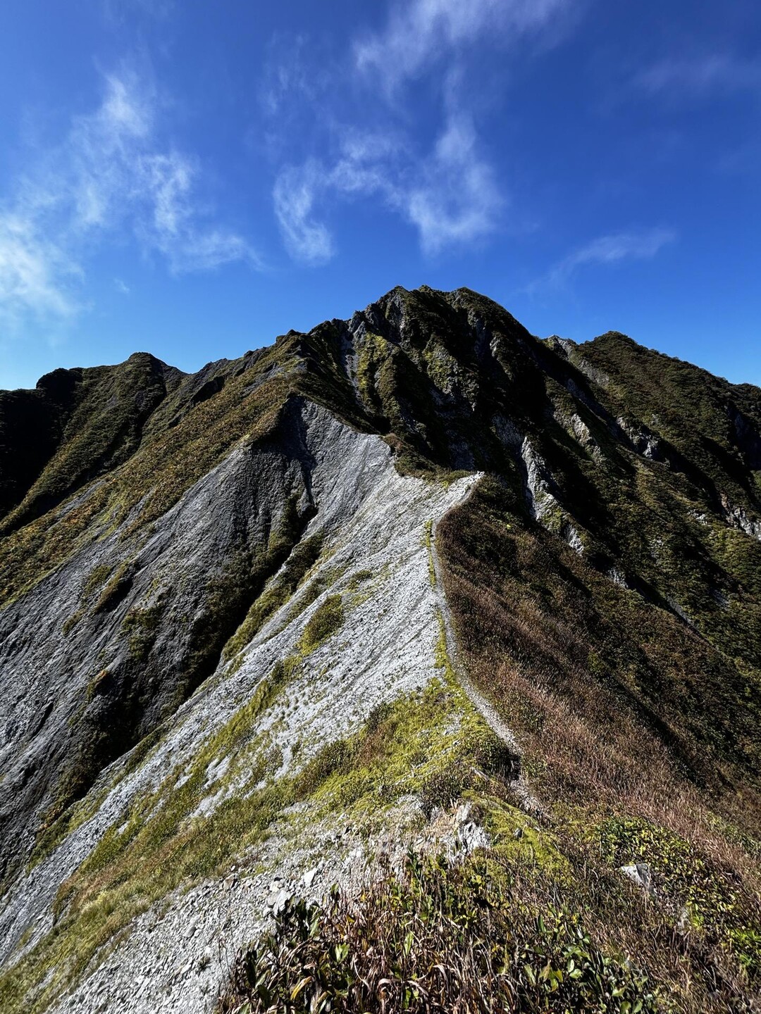 象ヶ鼻・P1636・三鈷峰 / ユーザーkiyoさんの大山・甲ヶ山・野田ヶ山の活動データ | YAMAP / ヤマップ
