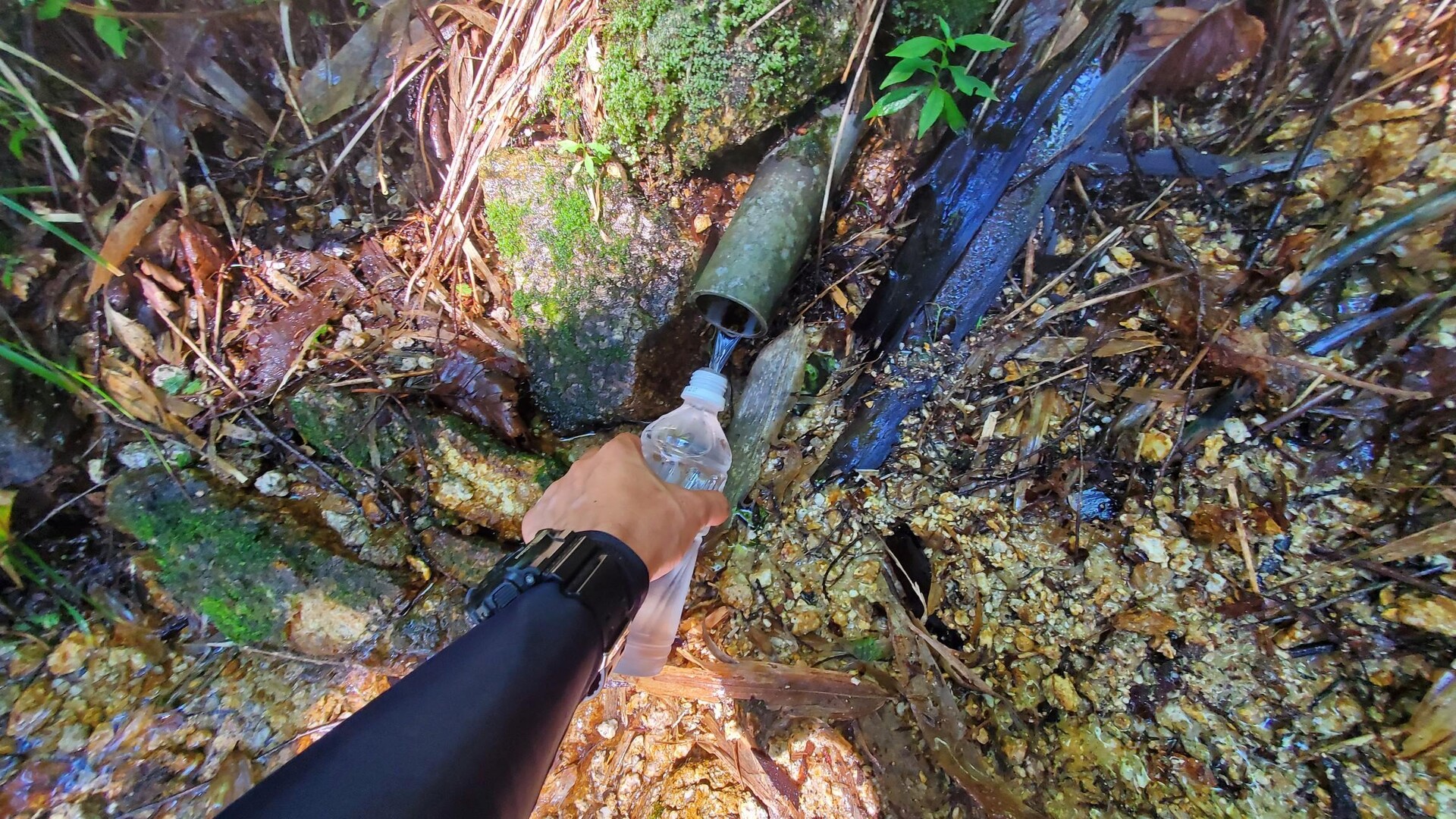 わきぴんさんの投稿したフィールドメモ | YAMAP / ヤマップ