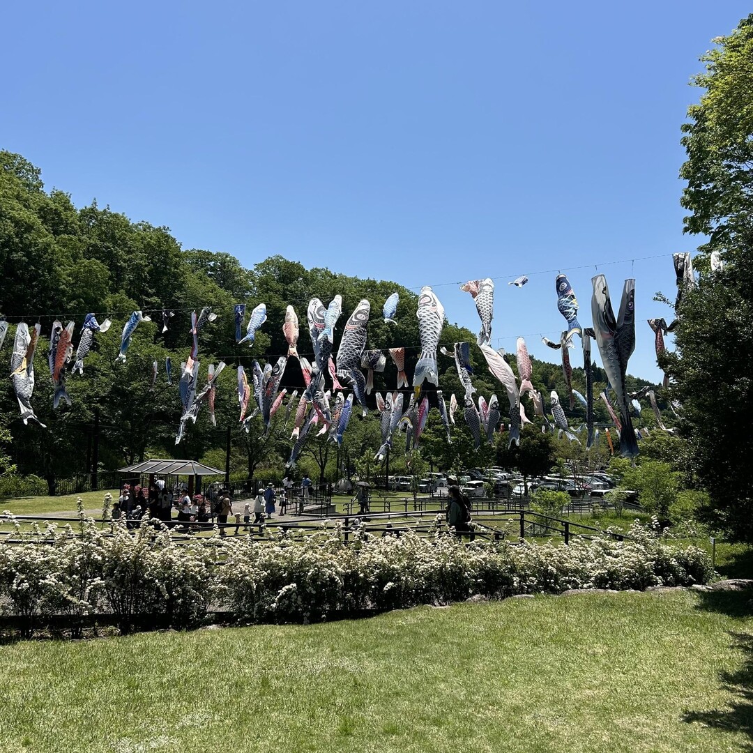 🎏さわやかウォーキング 瑞浪駅 / T_K_D_さんのウォーキングの活動データ | YAMAP / ヤマップ