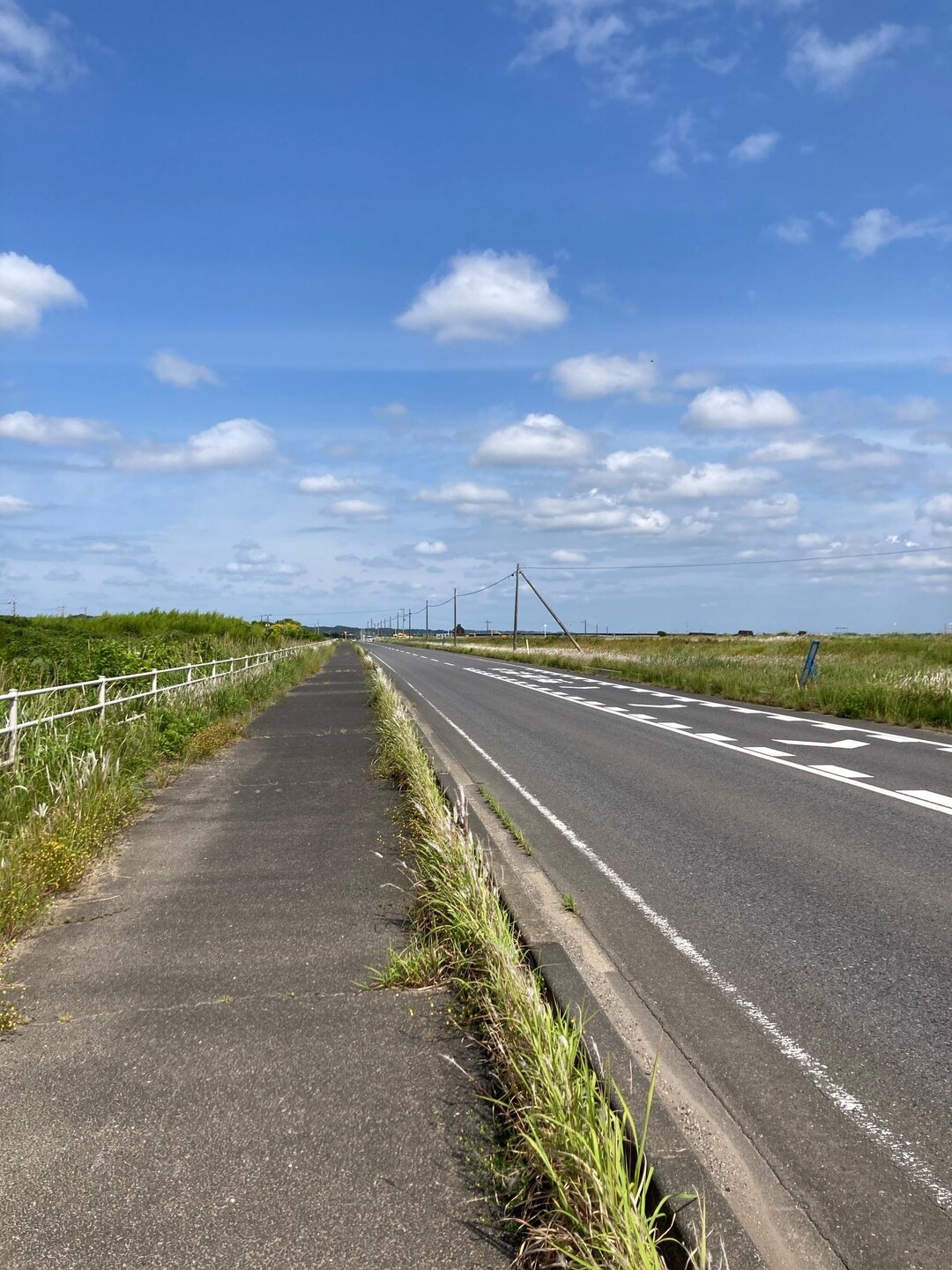 千葉県境01【標高差4m未満】 / ytnさんのウォーキングの活動データ | YAMAP / ヤマップ