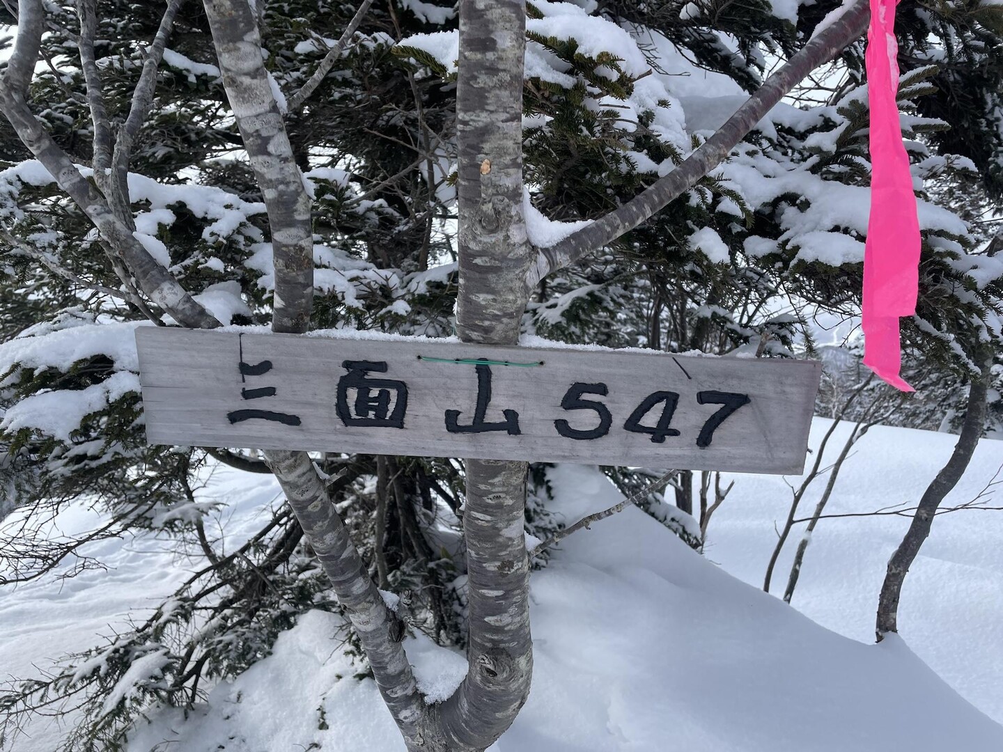 未踏だった😅三面山 / me〜さんの丸山・三面山・シラッケ山の活動データ | YAMAP / ヤマップ