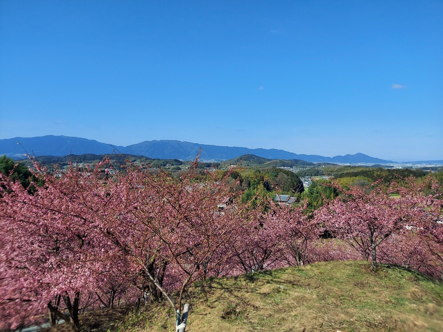 飛鳥散策～高松塚古墳.石舞台.甘樫丘 / ree-koさんの音羽山・竜門岳（龍門岳）・熊ヶ岳の活動データ | YAMAP / ヤマップ