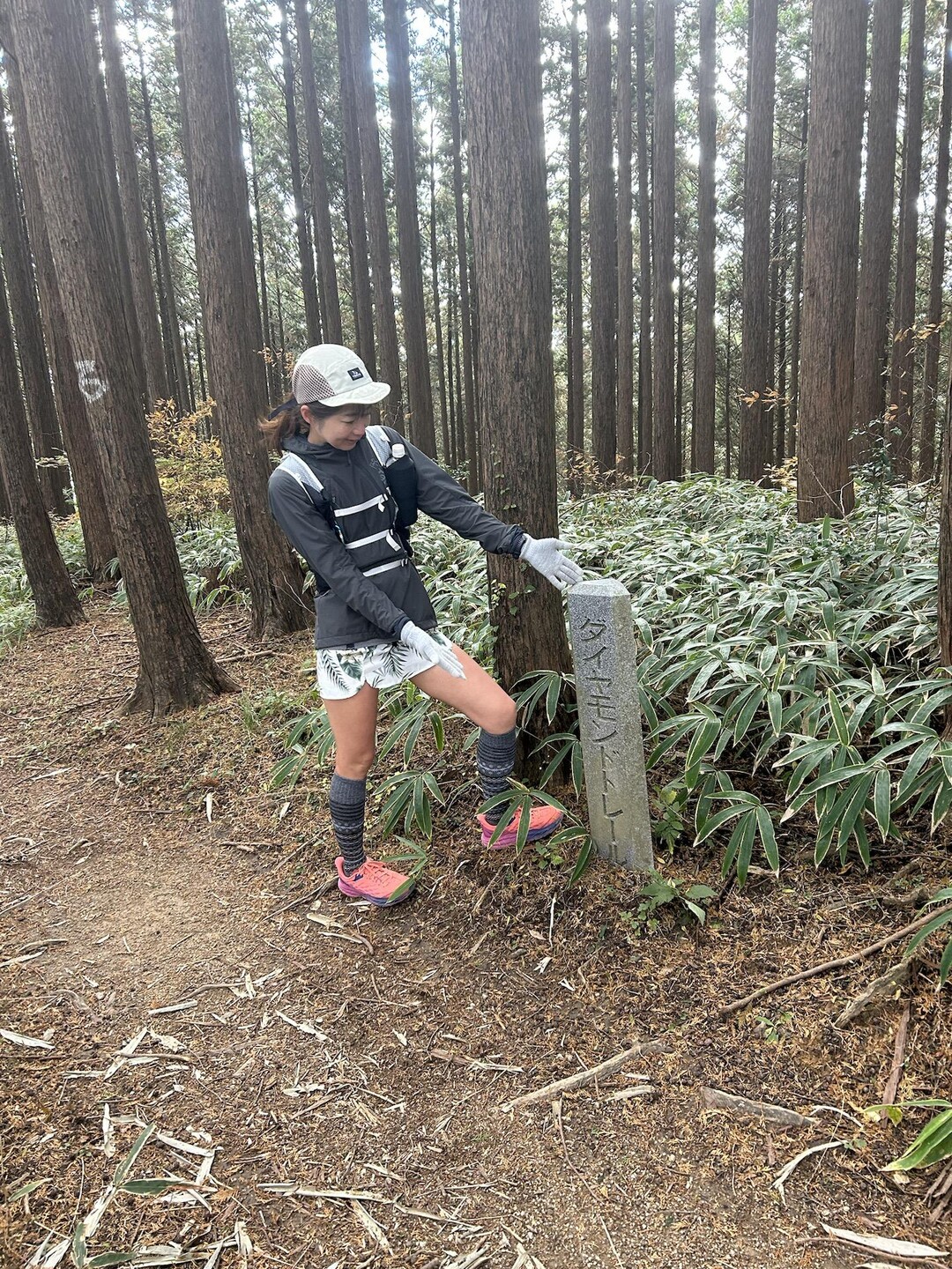 ダイトレ💎（道の駅ふたかみパーク→紀見峠） / Asukaさんの金剛山・二上山・大和葛城山の活動データ | YAMAP / ヤマップ