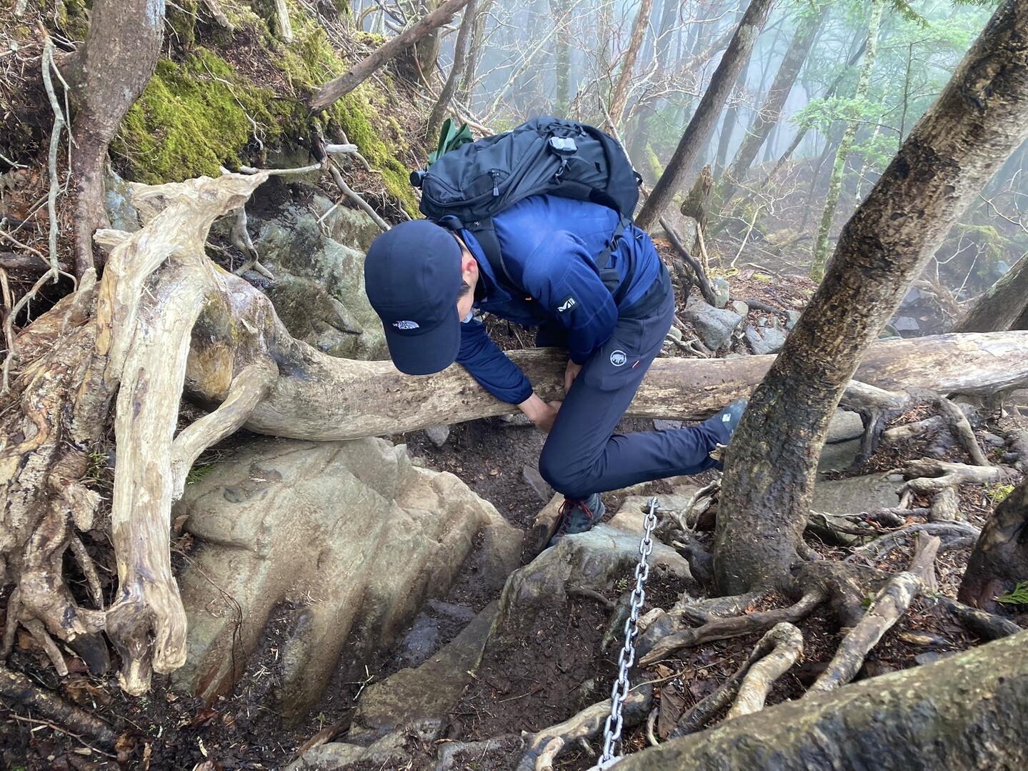 SAYAKAさんの投稿したフィールドメモ | YAMAP / ヤマップ