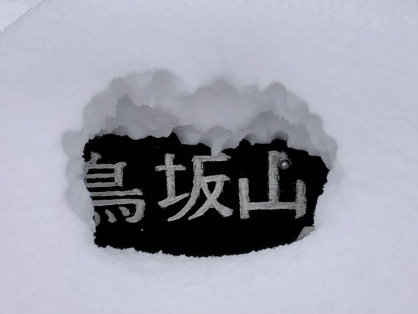 冒険となった⁉️ユズリハの峰・鳥坂山・白鳥山 / w823hさんの櫛形山・鳥坂山・大峰山（櫛形山脈）の活動データ | YAMAP / ヤマップ