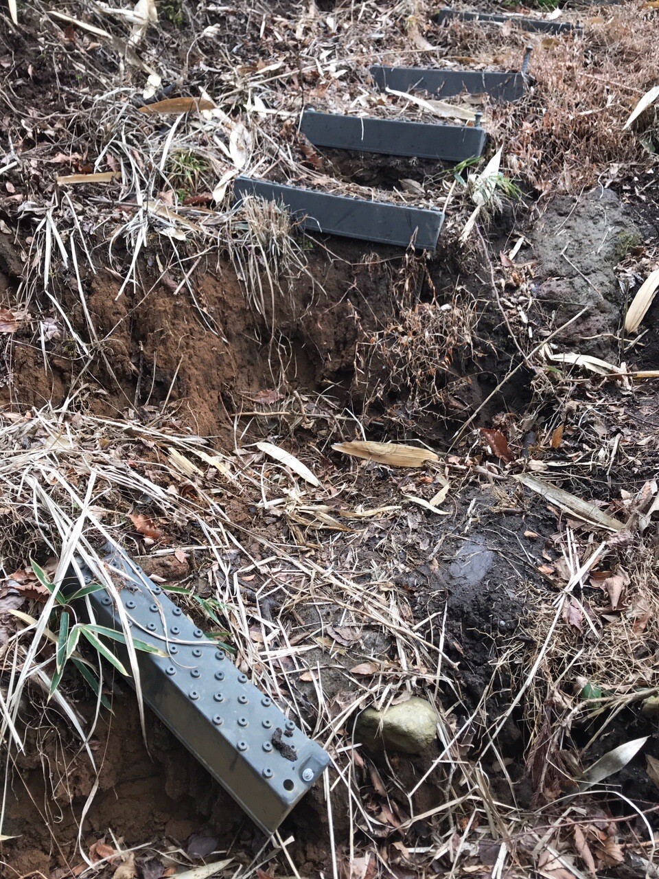 honeysさんの投稿したフィールドメモ | YAMAP / ヤマップ