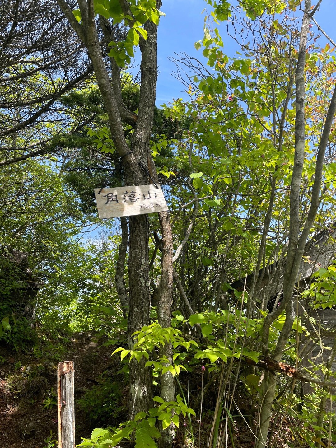 角落山〓まさに角から落ちるよな男坂 / Ru.nさんの浅間隠山・駒髪山・丸岩の活動データ | YAMAP / ヤマップ