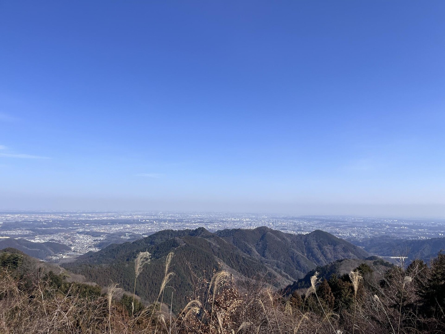 梅の里→景信山→高尾山→蛇滝口 / katsさんの高尾山・陣馬山・景信山の活動データ | YAMAP / ヤマップ