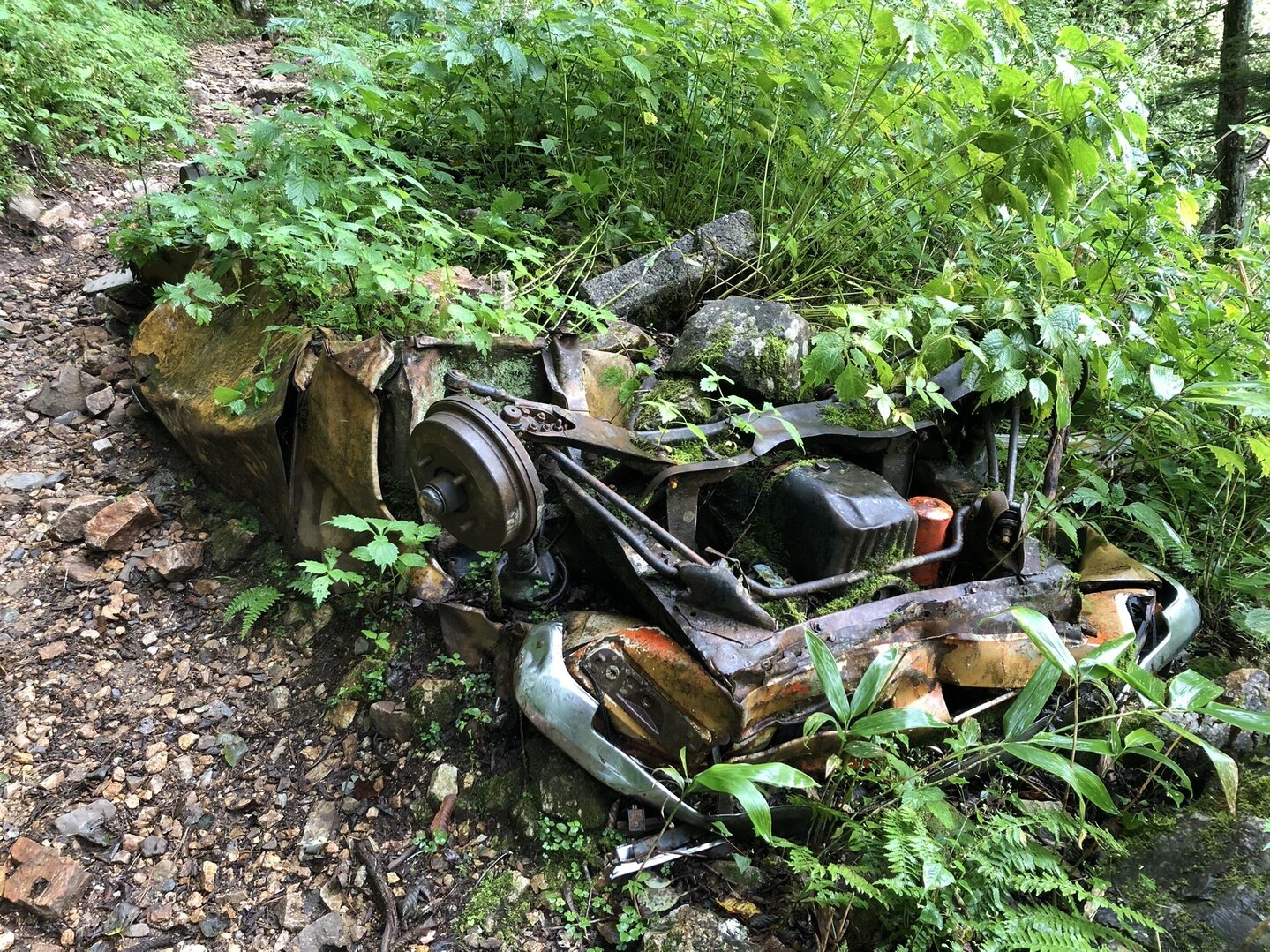 乗ります / Nandoさんのモーメント | YAMAP / ヤマップ