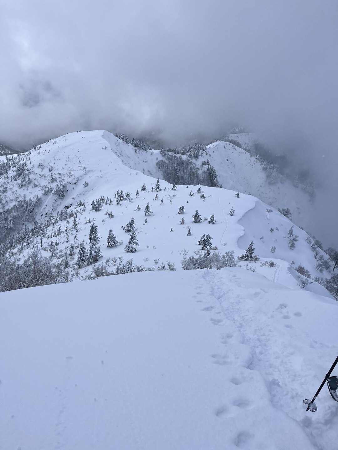 鳥ヶ尾山を越えて鉢伏山届かず1,538mまで〜 / mierinさんの鍬崎山・大品山・瀬戸蔵山の活動データ | YAMAP / ヤマップ