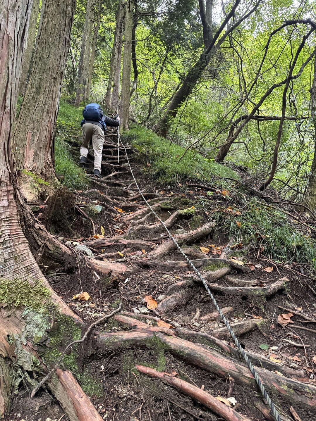 金剛山↗︎中尾の背↘︎青崩 / necoさんの金剛山・二上山・大和葛城山の活動データ | YAMAP / ヤマップ