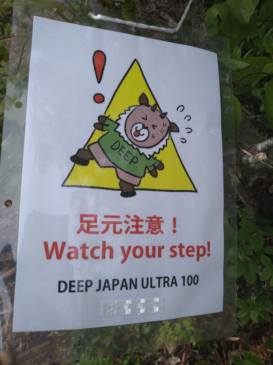 今月下旬開催のレース、「DEEP JAP... / ひで _ 山遊士さんのモーメント | YAMAP / ヤマップ