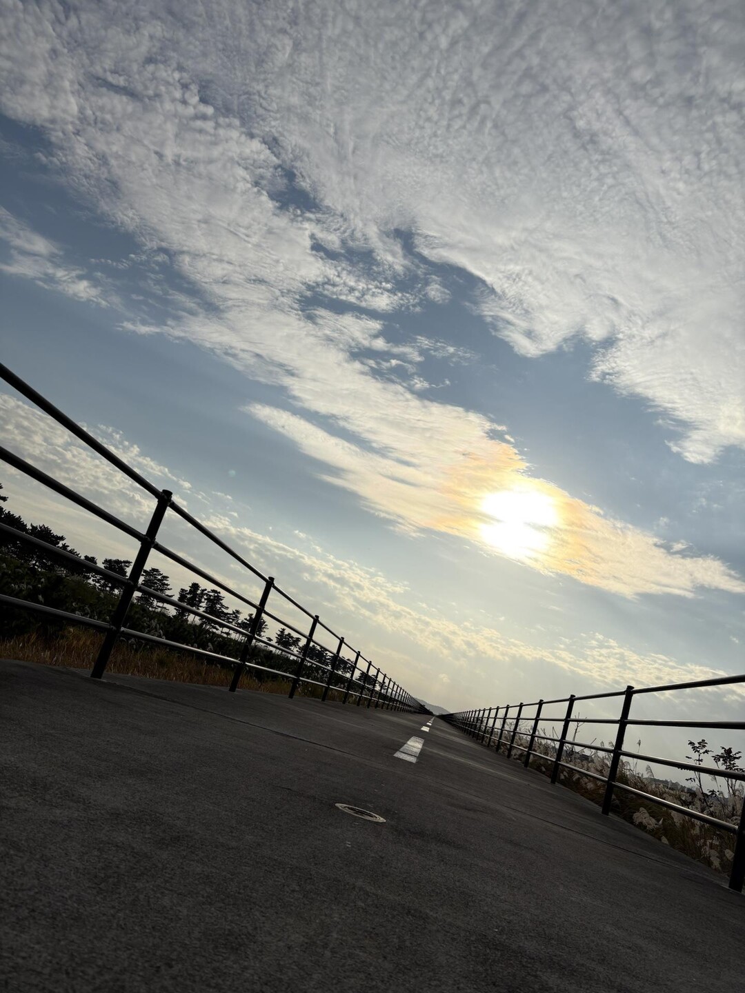 MCT 野蒜〜石巻セクション / かなかな0083さんのウォーキングの活動データ | YAMAP / ヤマップ