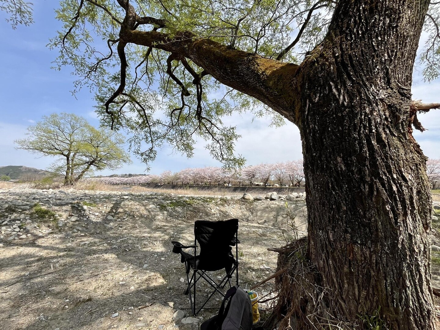 昨日は岩場に行こうと思ってたのに、、、 ... / yamameさんのモーメント | YAMAP / ヤマップ